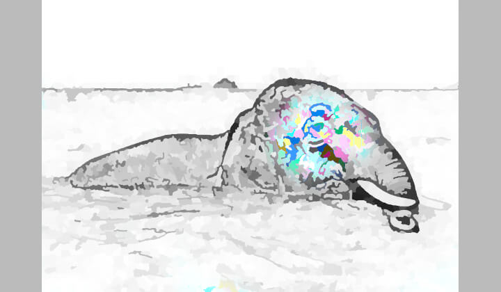Postgresql On Openbsd Upgrade 12 To 13 With Pgdumpall Openbsd Solutions Blog 3232